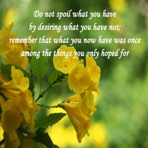 Best Motivational Quotes – TheQuotes.Net